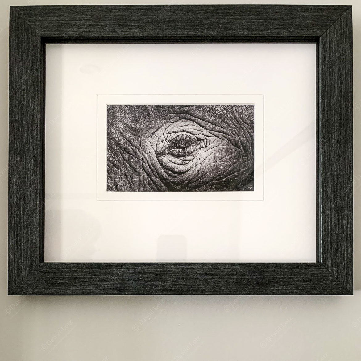 Visitor Info — Dawid Lotz Photography
