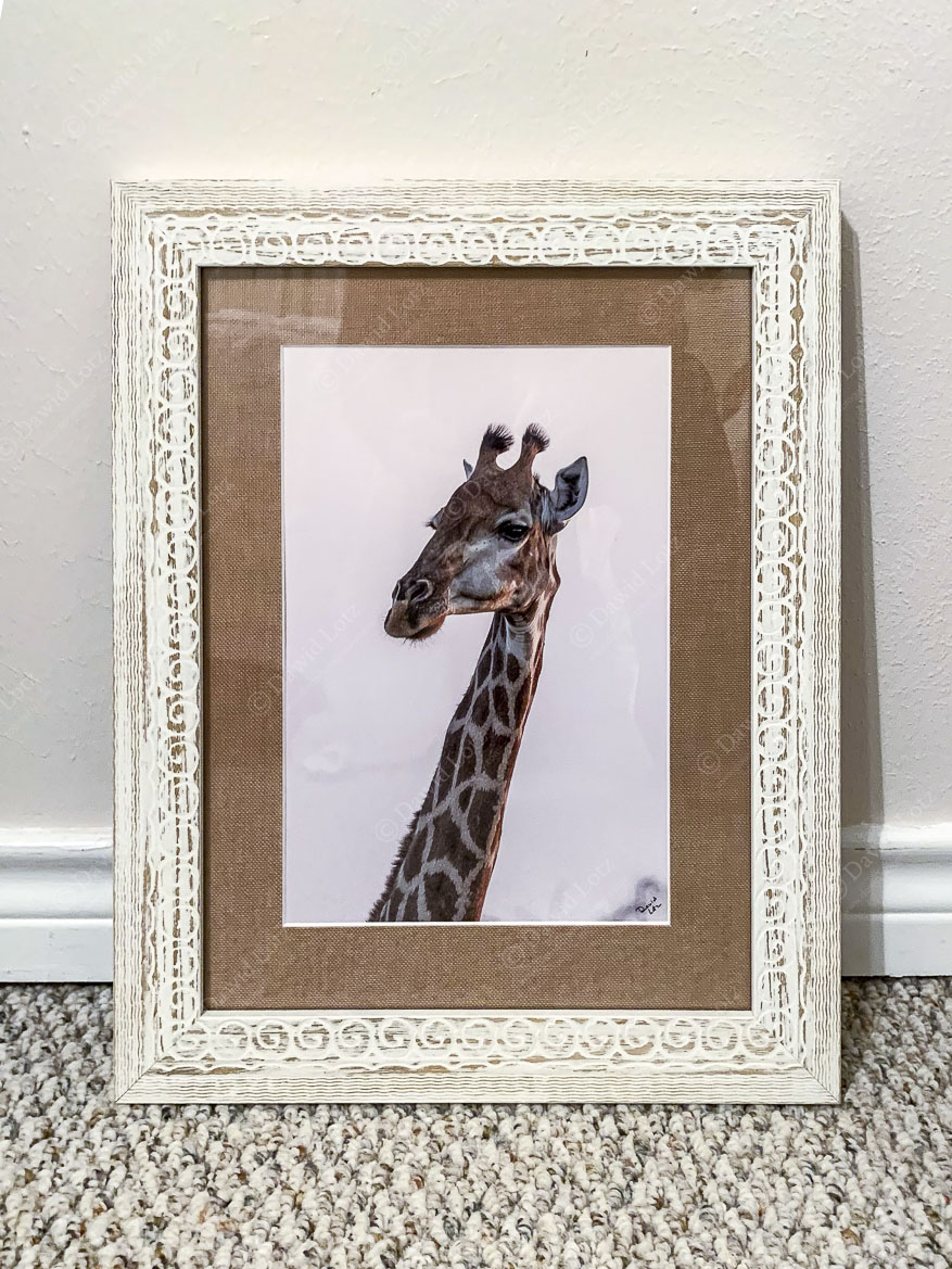 Visitor Info — Dawid Lotz Photography