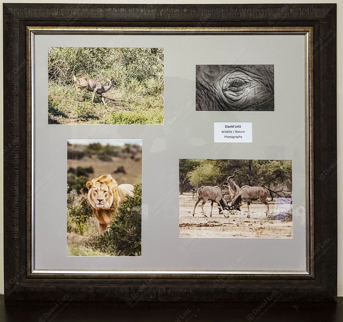 Visitor Info — Dawid Lotz Photography