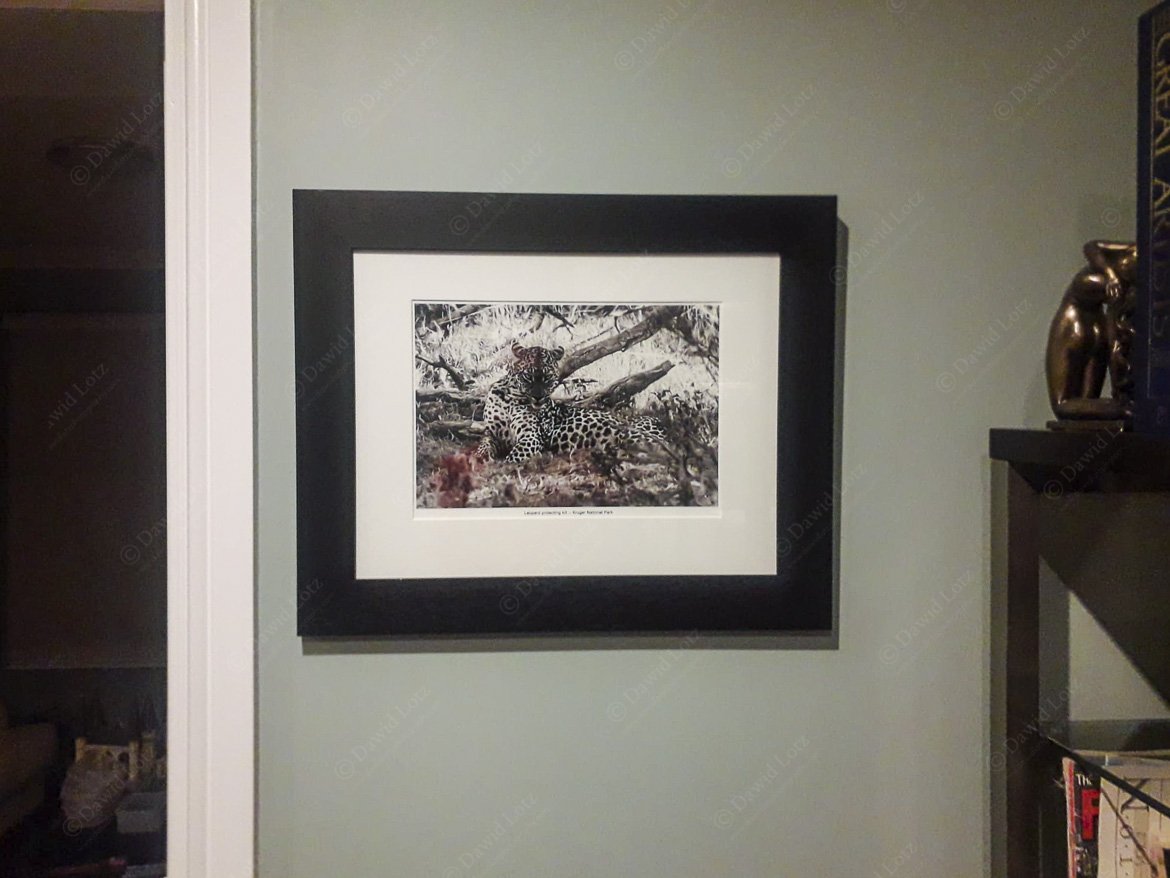 Visitor Info — Dawid Lotz Photography